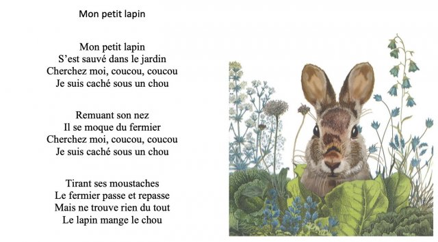 Mon petit lapin - École des Rosiers